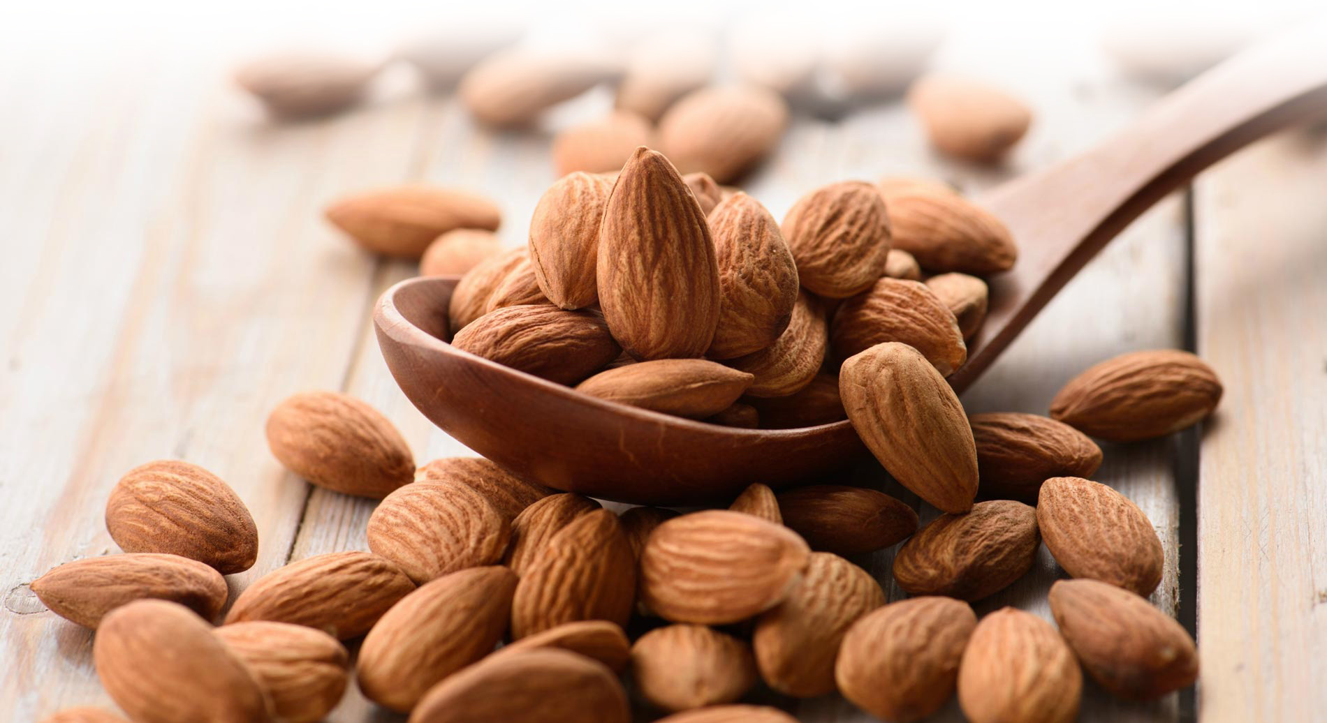 Products - Frutos secos y Snacks Salysol