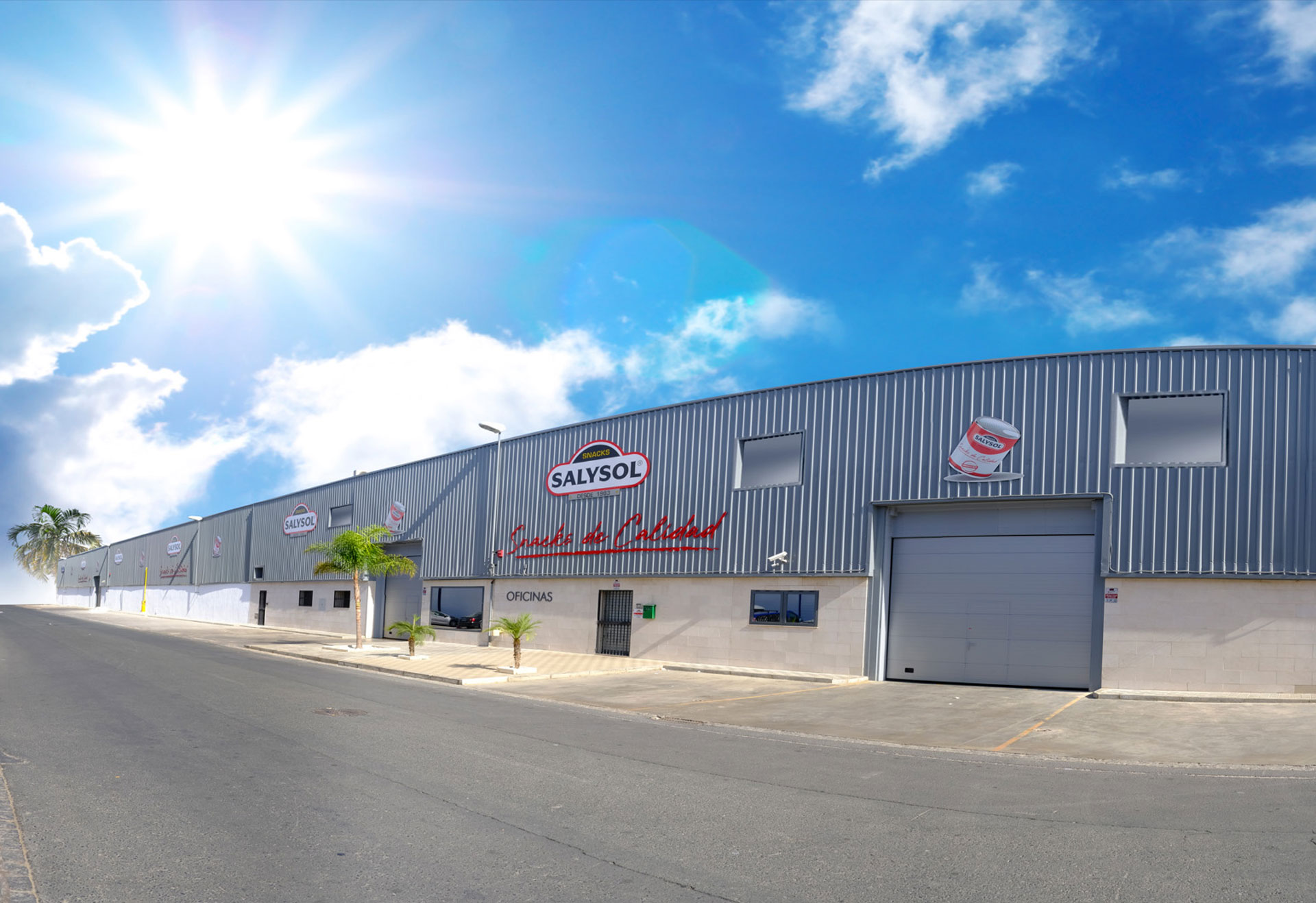 Home - Frutos secos y Snacks Salysol